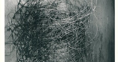 Shadow Chamber de Roger Ballen - gualeni.com